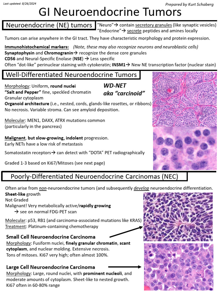 18 GI Neuroendocrine Tumors | PDF | Pancreas | Diseases And Disorders