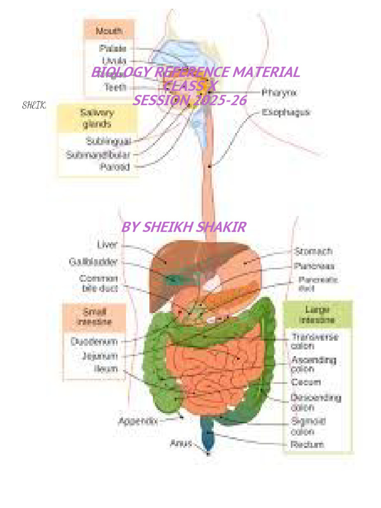 Biology Life Processes Material | PDF
