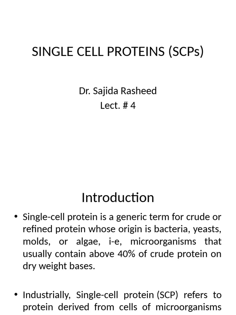 Lect # 4 Single Cell Proteins CCPs | PDF | Microorganism | Yeast