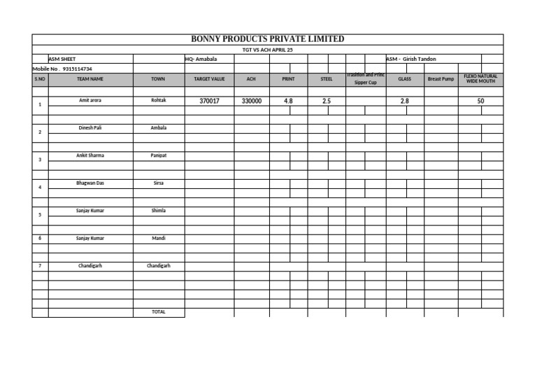 Asm Team Format | PDF