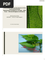 Tipos de Filotaxia em Plantas Vasculares | PDF | Folha | Morfologia vegetal