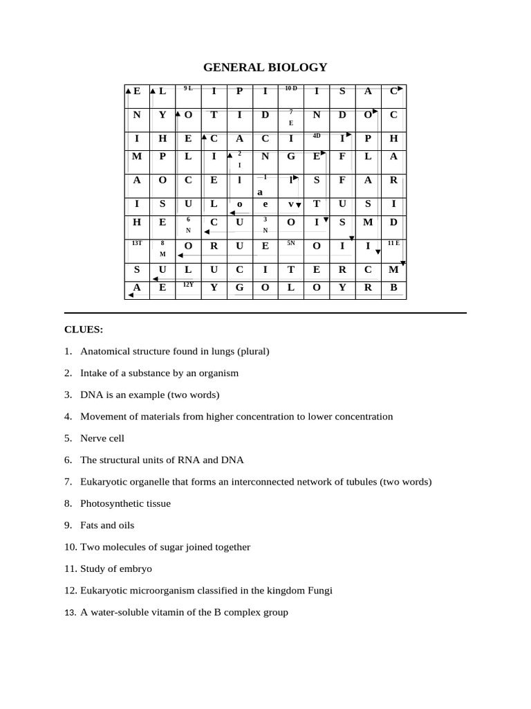 General Biology Key Concepts and Clues | PDF