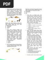 20 Soal Rantai Makanan Kelas 5 SD Dan Kunci Jawabannya | PDF