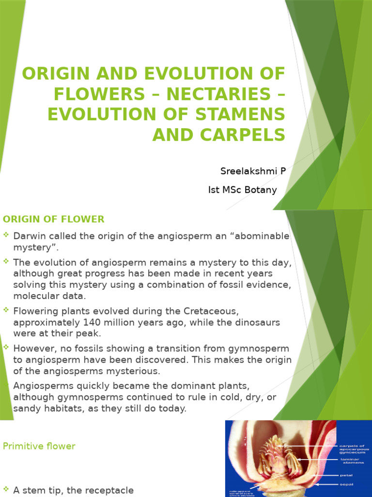 Evolution of Nectaries | PDF | Flowers | Petal
