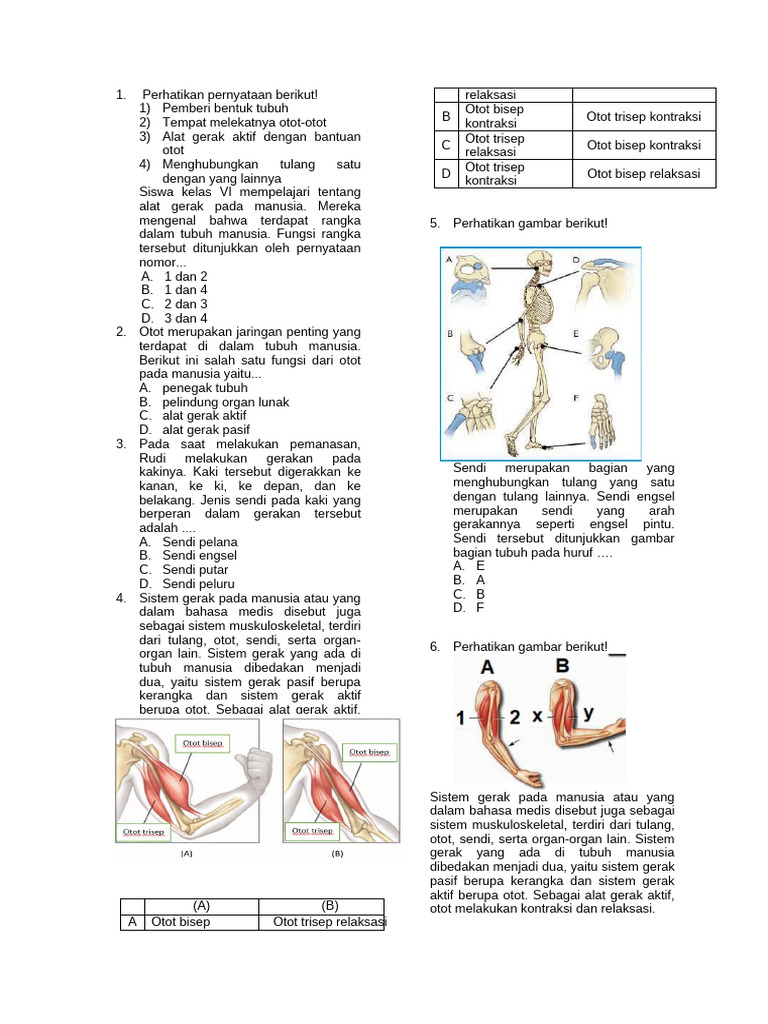Sistem Gerak Manusia dan Fungsinya | PDF