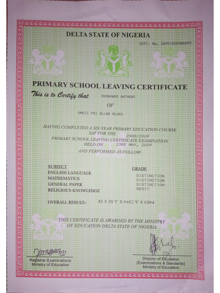 School Leaving Certificate | PDF