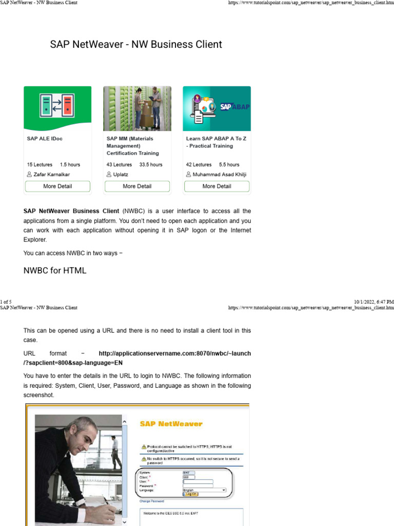 SAP NetWeaver - NW Business Client | PDF | Software | System Software