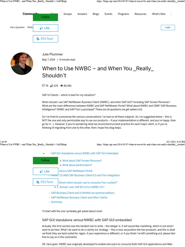 When To Use NWBC - and When You - Really - Shouldn't SAP Blogs | PDF | Graphical User Interfaces ...