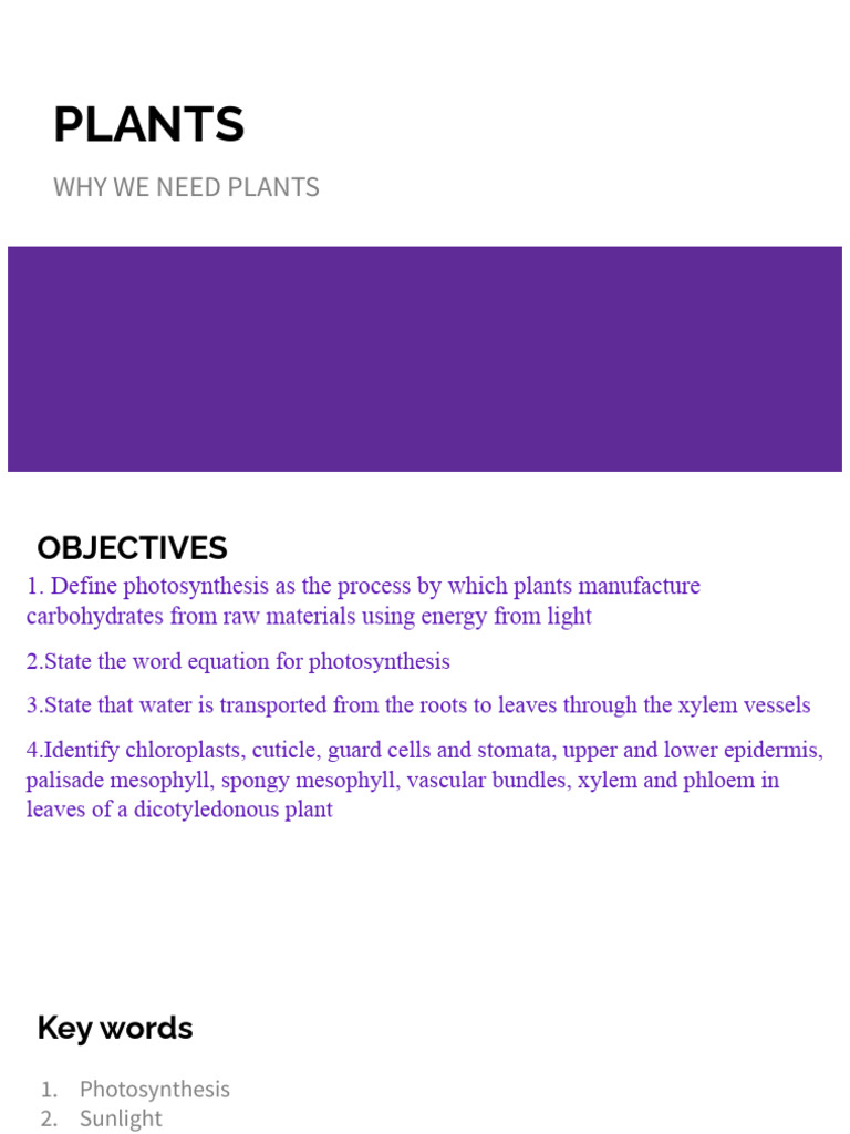 Importance of Photosynthesis in Plants | PDF