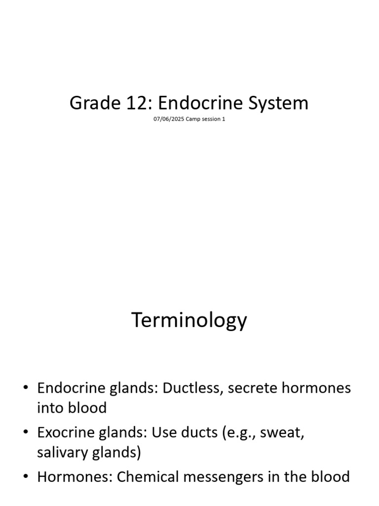 06 07 2025 Grade 12 Endocrine System Presentation | PDF