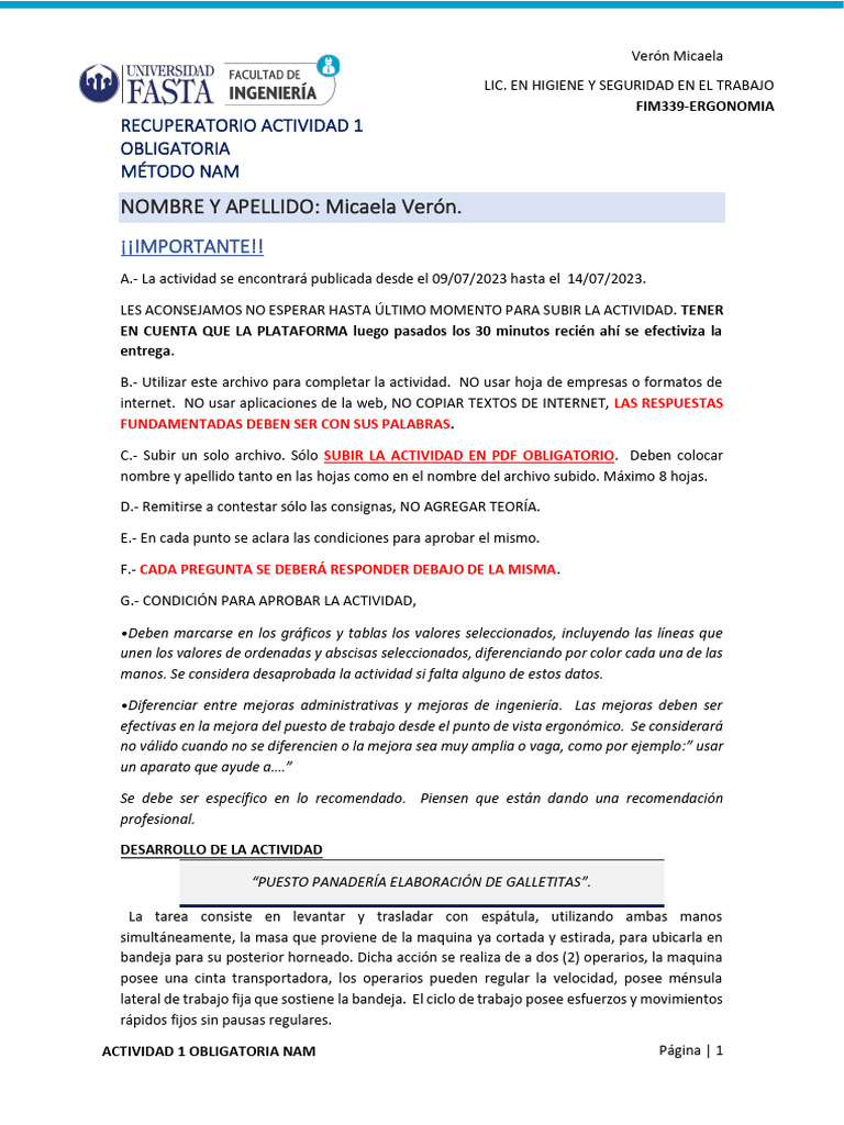 Micaela Luján Verón - RECUP ACTIVIDAD OBLIGATORIA NAM C2-1 - 2023 | PDF | Seguridad y salud ...