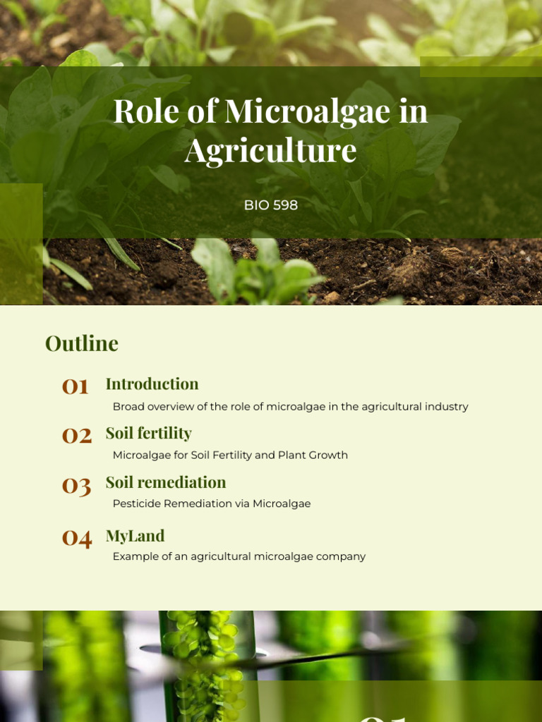 Microalgae's Impact on Agriculture | PDF | Soil | Fertilizer