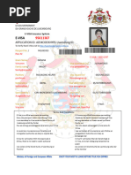 Serbia E-Visa | PDF