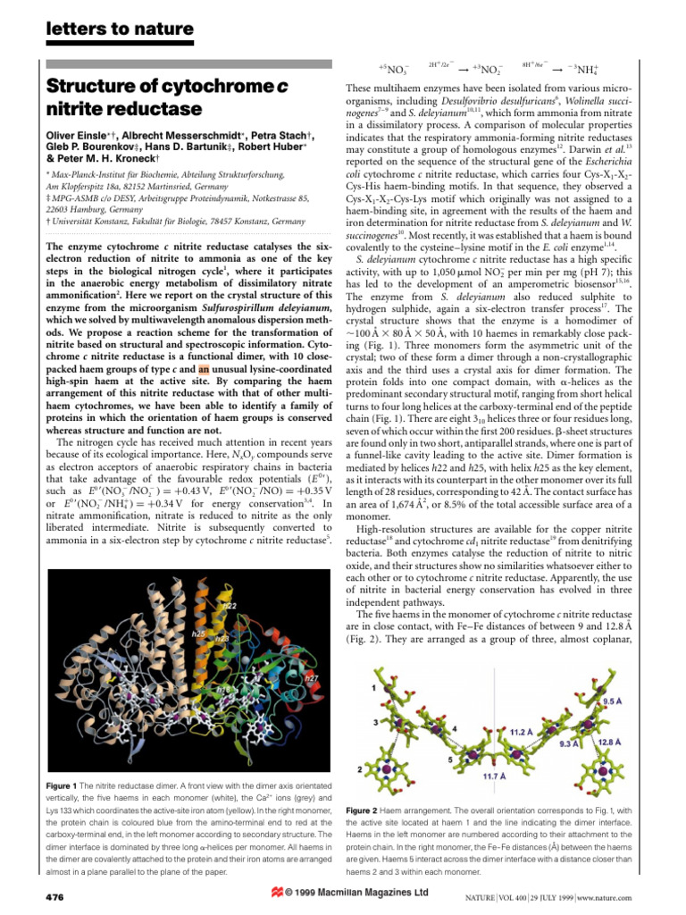 Structure of Cytochrome c Nitrite Reductase | PDF | Active Site | Nitrite