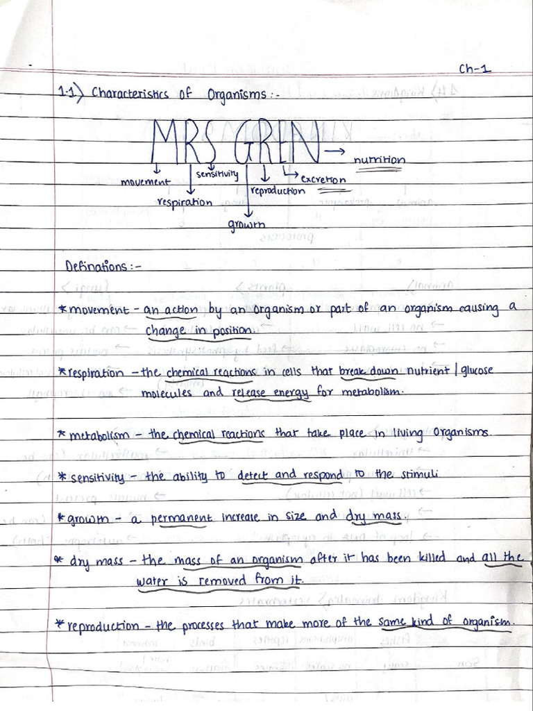 Biology Igcse Notes All Chapters | PDF