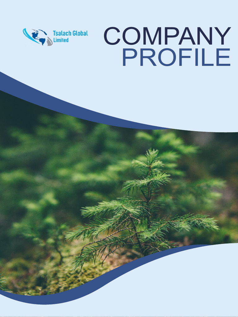 Company Profile - Tsalach Global LImited. 06.03.25 | PDF | Environmental Remediation ...