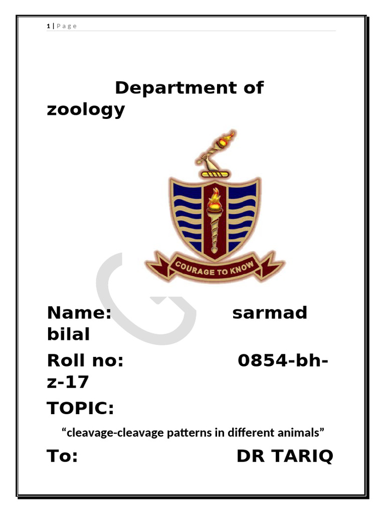 Animal Form 2 Assignment | PDF | Egg | Yolk