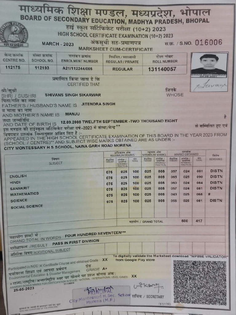 Board Certificate | PDF