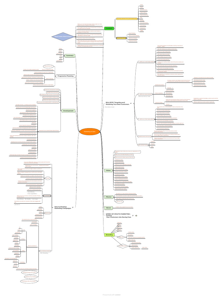 Marketing & Sales-Mind Map | PDF | Marketing | Target Audience