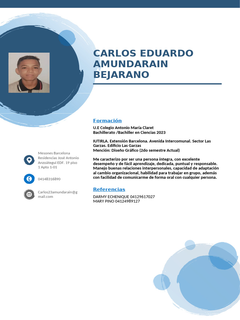 CV Carlos Eduardo | PDF