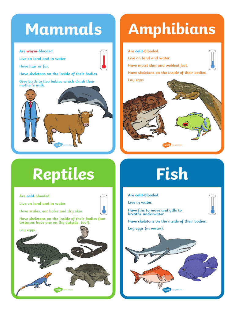 Animal-Groups-Classification Cards | PDF | Egg | Skeleton