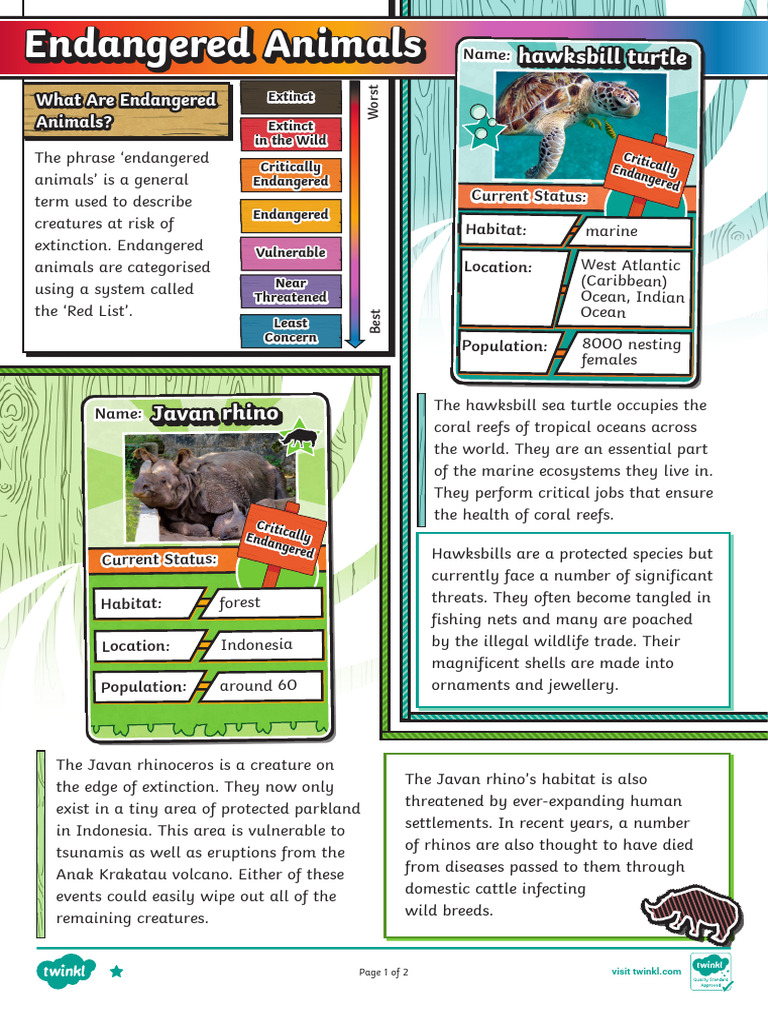 Endangered Animals LKS2 Differentiated Reading Comprehension Activity ...