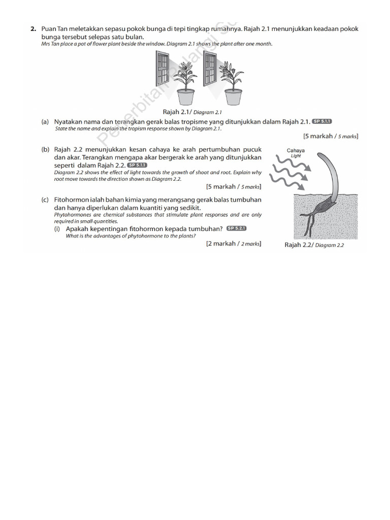 Essay Exercise F5 Bio Chapter 5 | PDF