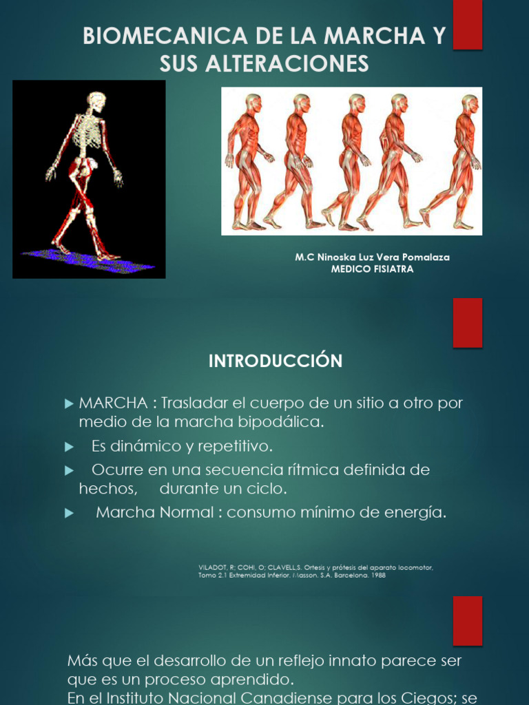 Marcha Normal y Patologica... | PDF | Pie | Pelvis