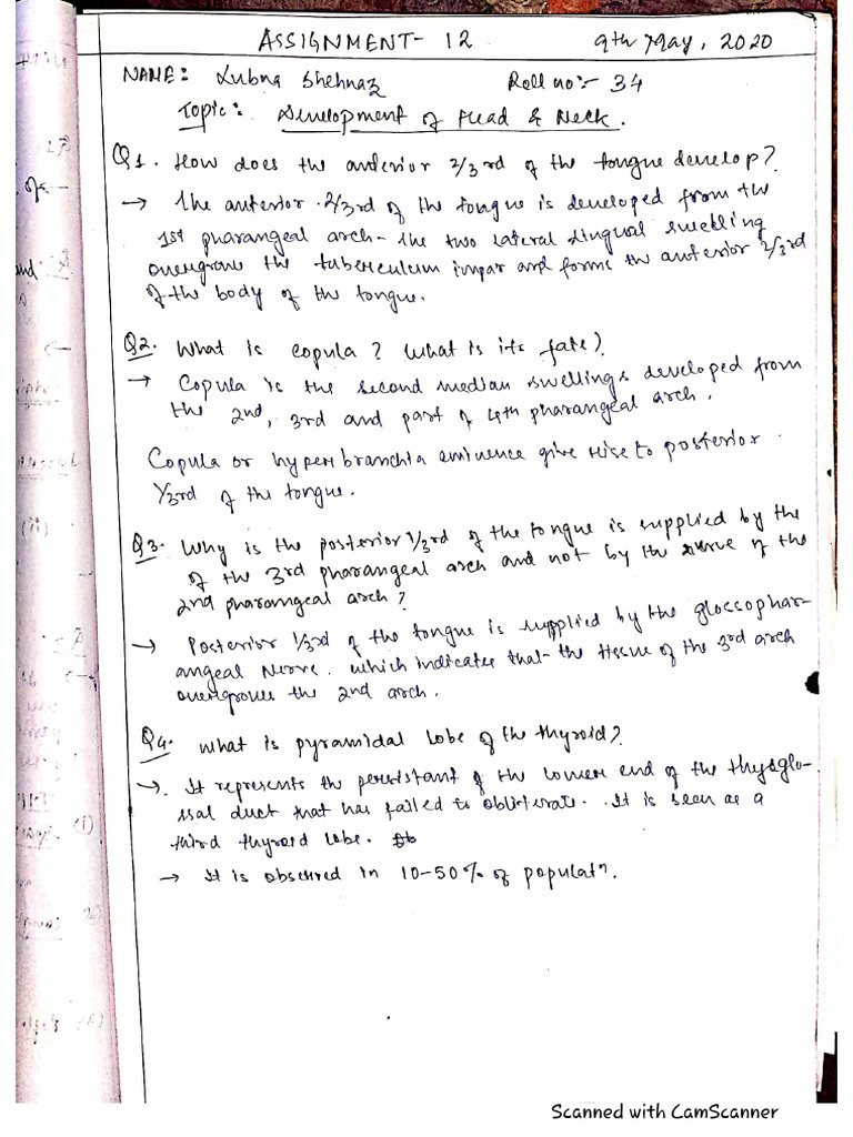 Anatomy Assignment 12 | PDF