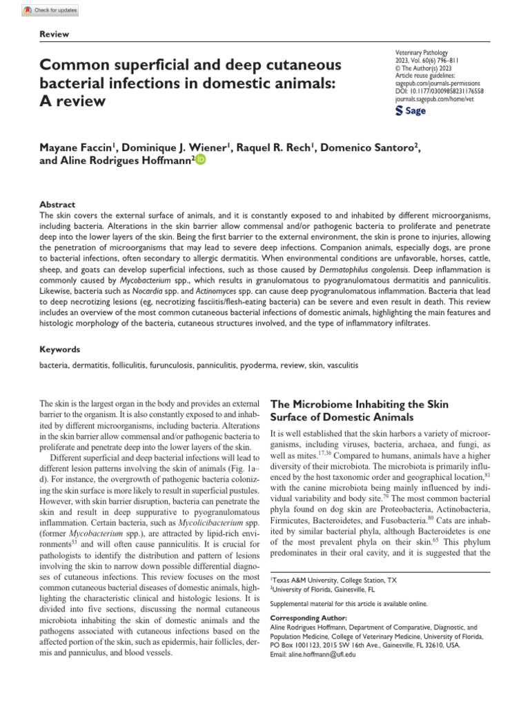 Common Bacterial Skin Infections in Animals | PDF | Bacteria | Skin