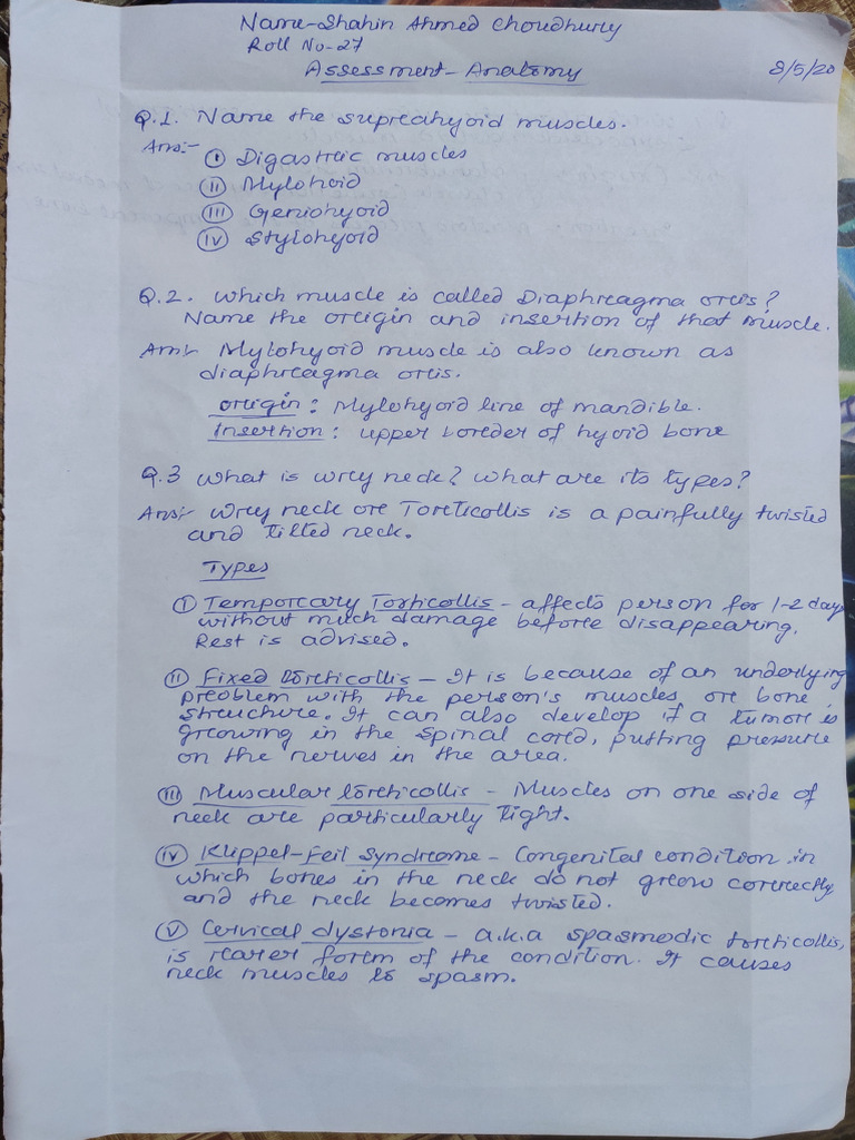 Assessment Anatomy | PDF