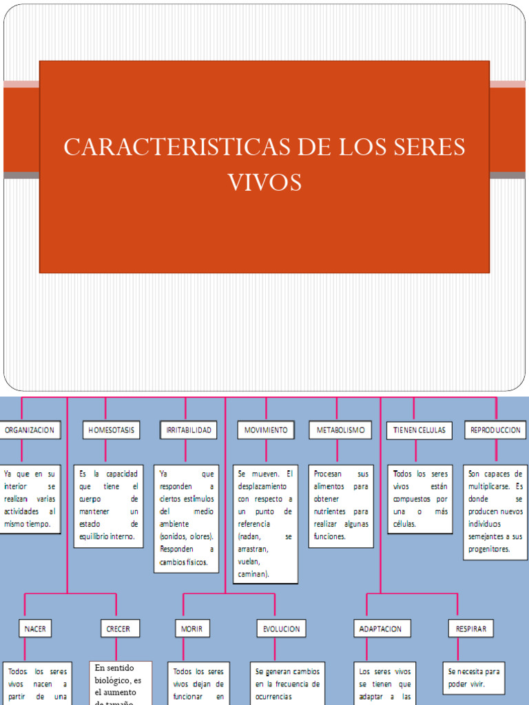 Caracteristicas de Los Seres Vivos | PDF | Organismos | Biología Celular)