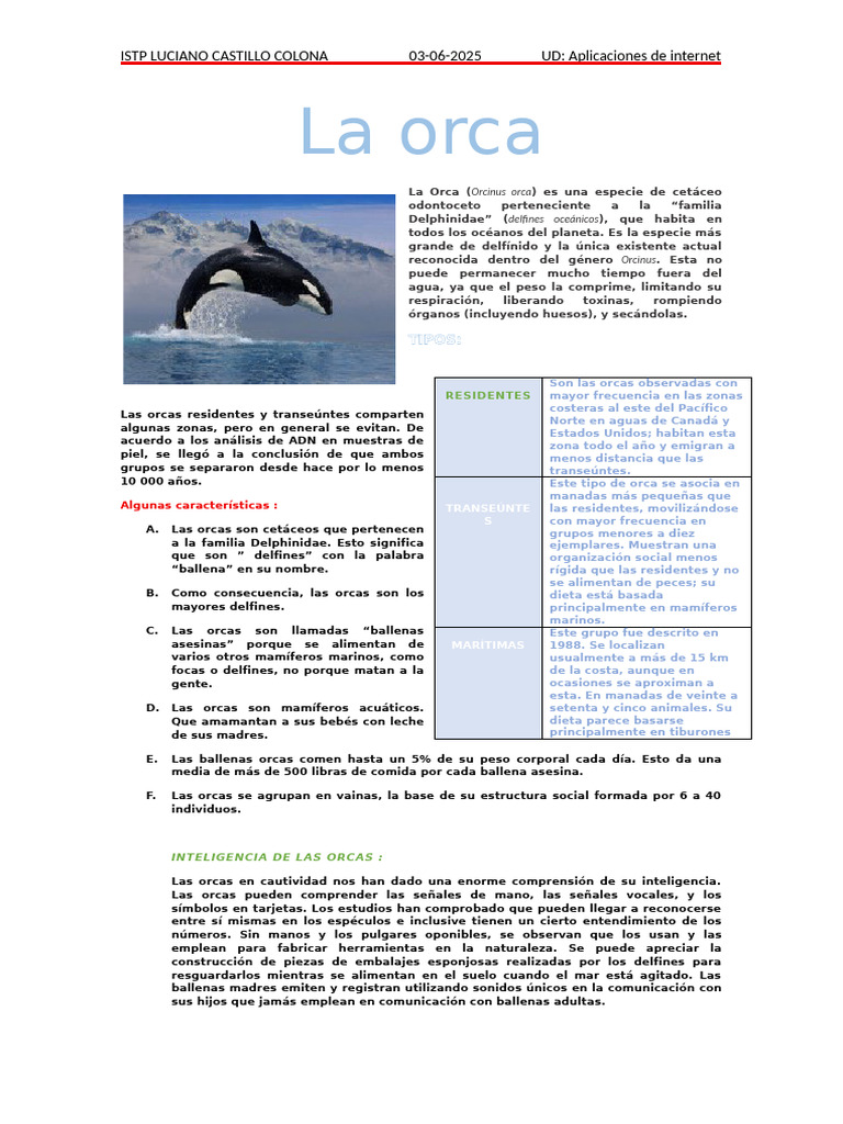La Orca | PDF | Mamíferos | Zoología