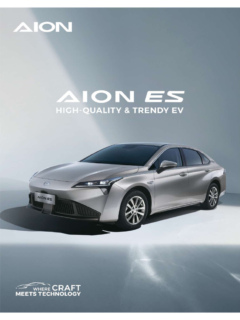 Aion Es Leaflet | PDF