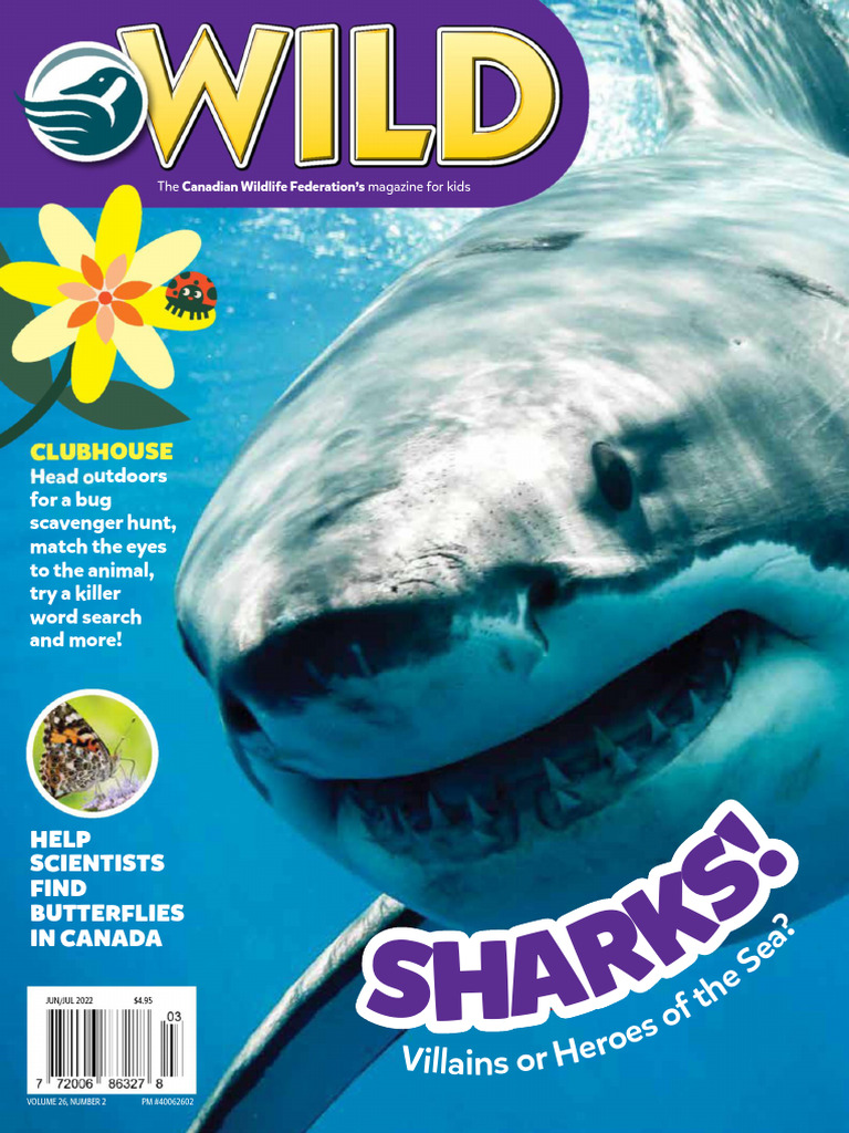 Wild Magazine For Kids - JuneJuly 2022 - Wild Magazine For Kids | PDF ...