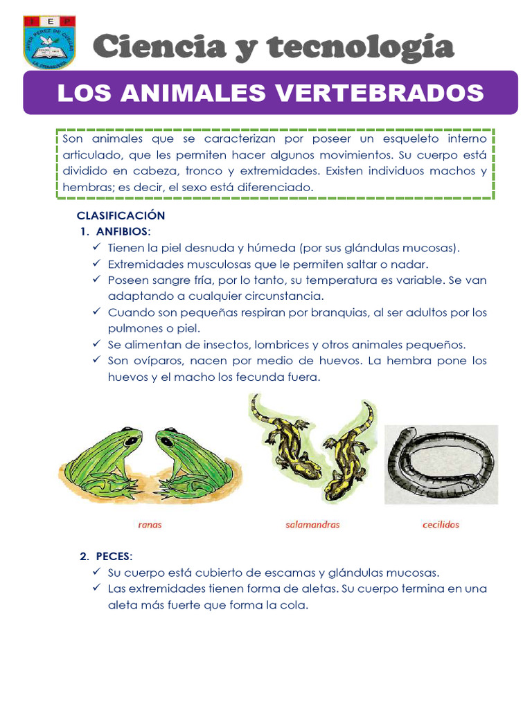 Los Animales Vertebrados 4to | PDF | Vertebrados | Mamíferos