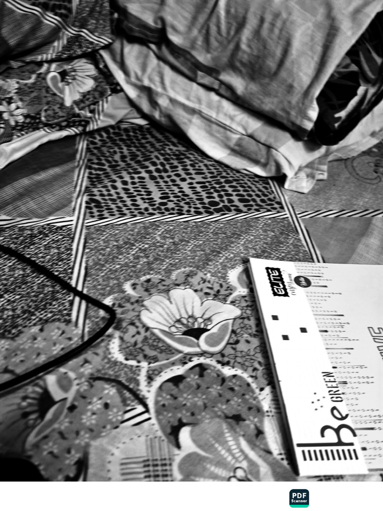 ACE Scanner - 2025 - 06 - 10 | PDF