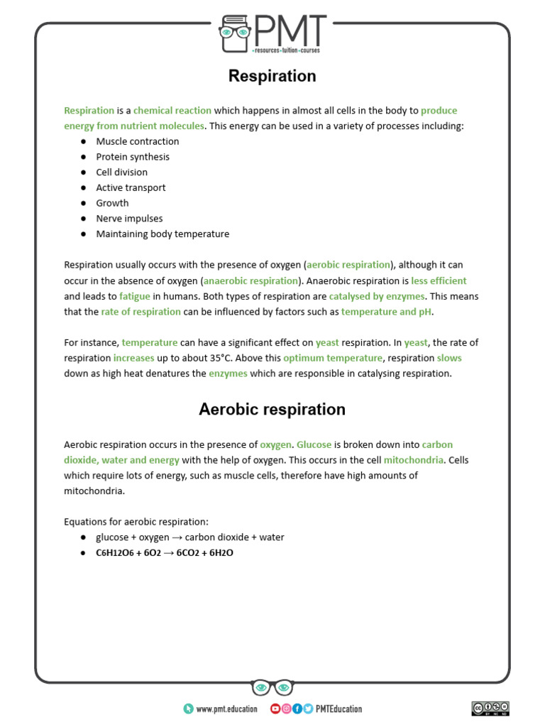 Aerobic and Anaerobic Respiration | PDF | Cellular Respiration | Glucose