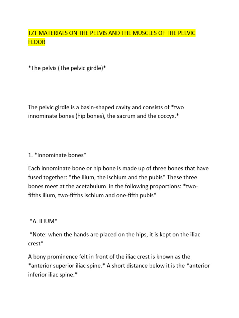 TZT Materials O-Wps Office | PDF | Pelvis | Musculoskeletal System