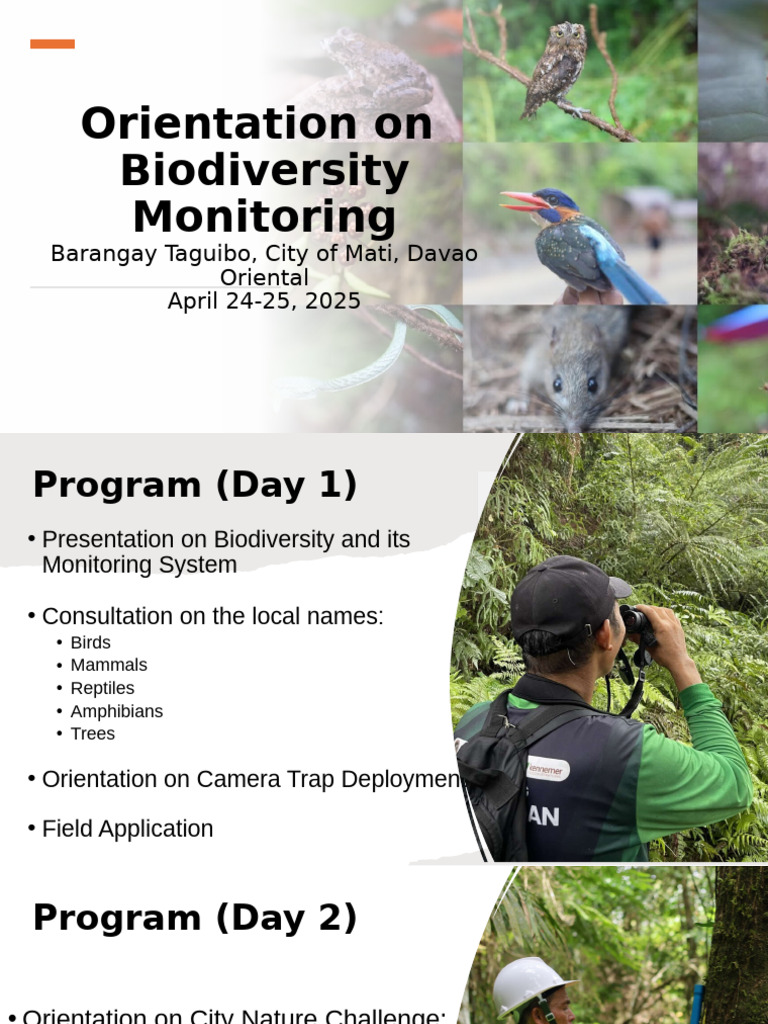 Biodive Training Birds | PDF | Biodiversity | Birds