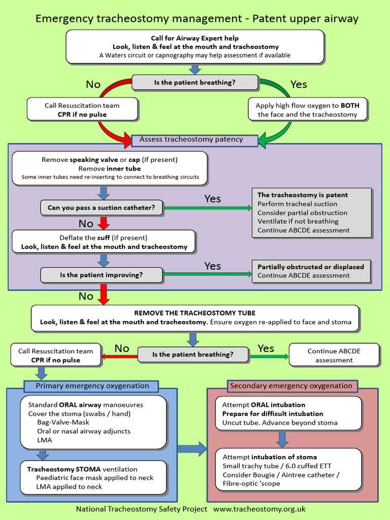 Patent Airway Algorithm | PDF | Anesthesia | Clinical Medicine