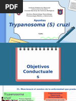 Triatominos: Vectores de Chagas | PDF | Biología
