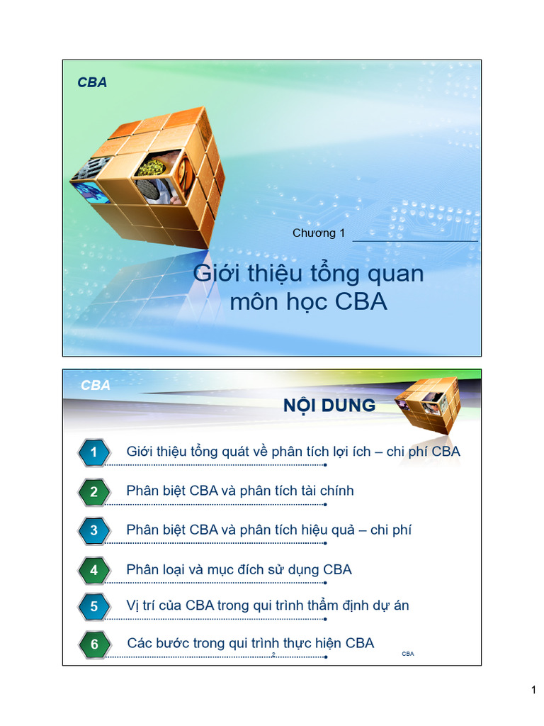 CBA Chap1 Introduction | PDF