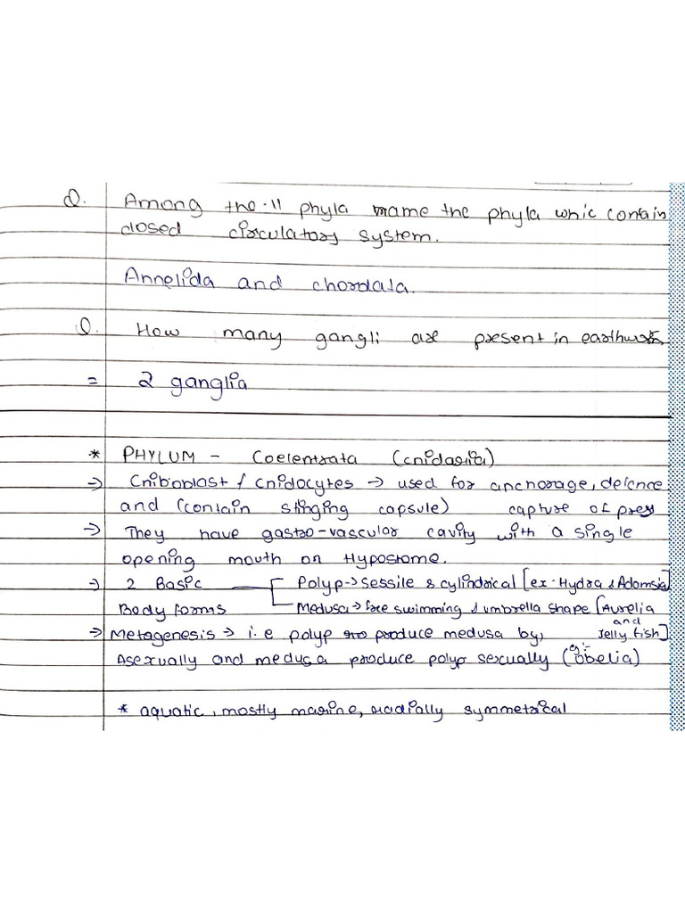ANIMAL KINGDOM Handwritten Notes Biology | PDF