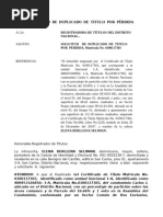 Hoja Timbrada Modelo | PDF | República Dominicana
