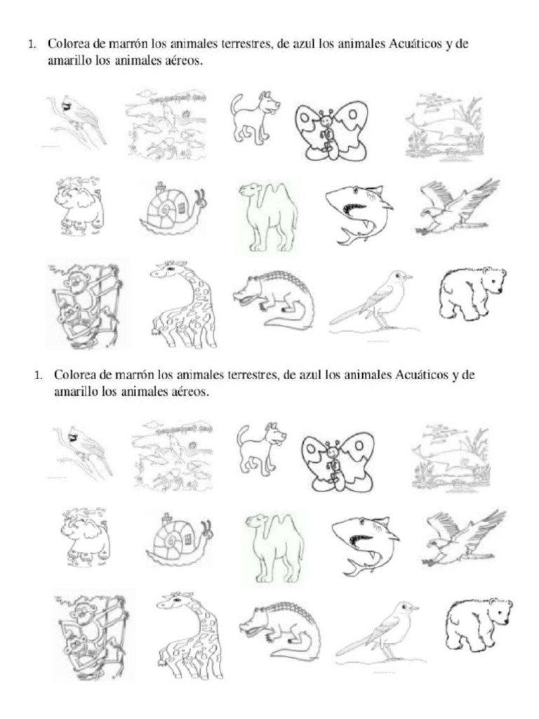 Actividades Los Animales | PDF