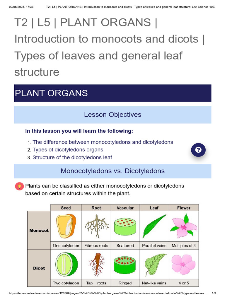 T2 - L5 - PLANT ORGANS - Introduction To Monocots and Dicots - Types of Leaves and General Leaf ...