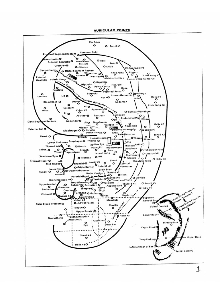 55 Auricular Points | PDF