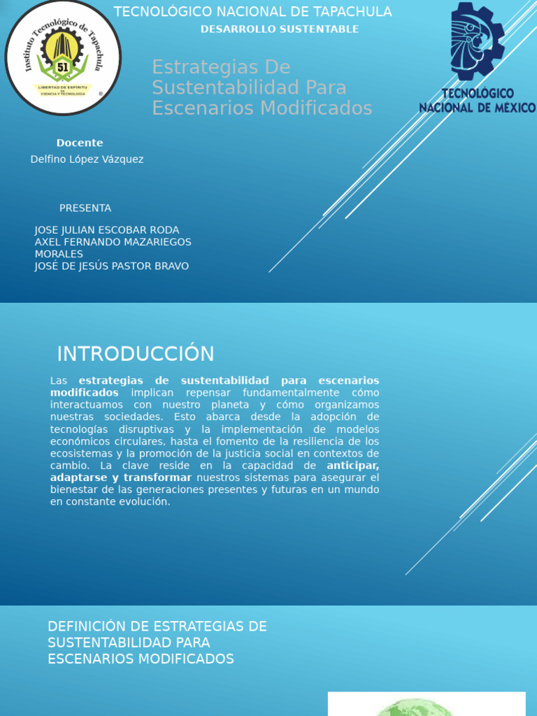 Estrategias de Sustentabilidad | PDF | Sustentabilidad | Residuos