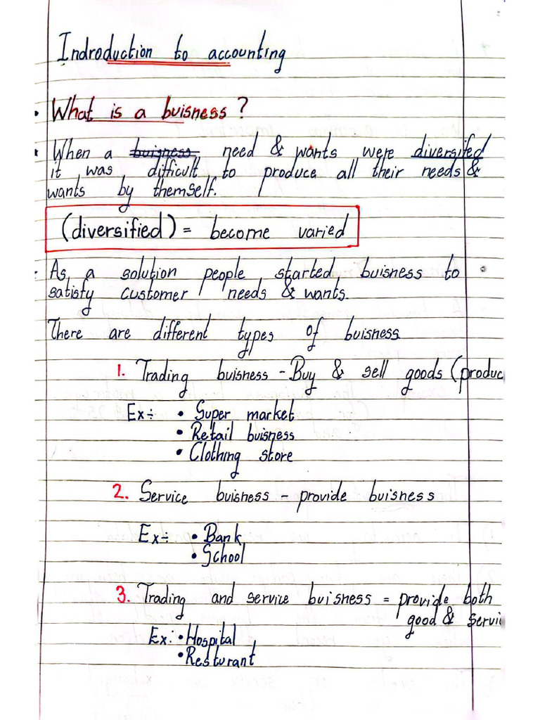 Accounting Notes | PDF